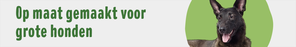 Hondenvoer voor grote honden kopen? De beste prijs bij zooplus!