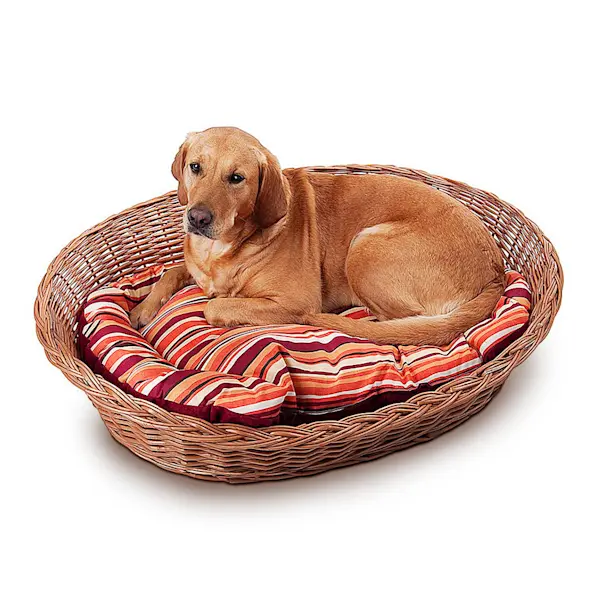 Hundekorb & Hundekörbchen Schon ab 5.99