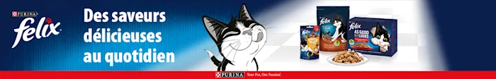 Boîtes Felix pour chat : pas cher | Zooplus
