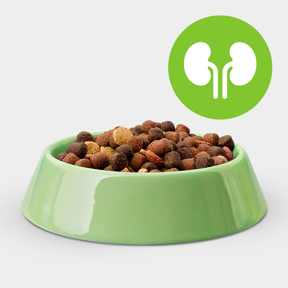 Hundefôr & hundemat på nett | zooplus.no