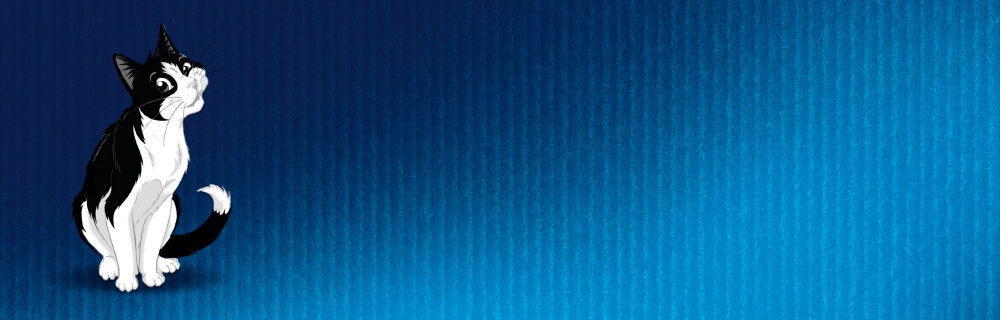 Felix Cat Food: wide variety and great quality