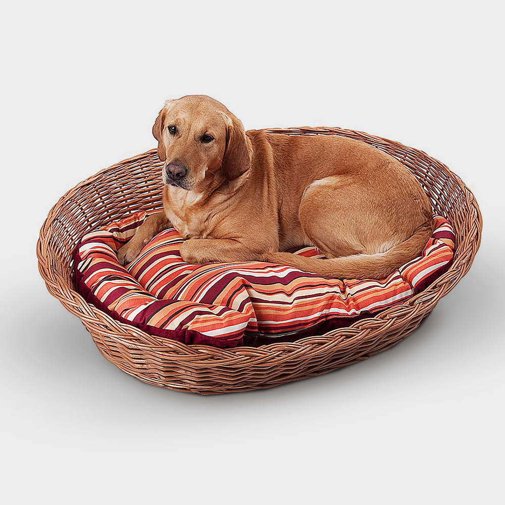 Hundebett (waschbar) & Hundeschlafplatz online kaufen | zooplus