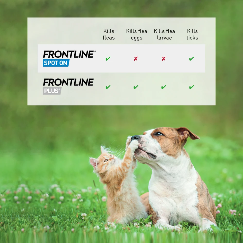 FRONTLINE® | Expert care you can trust