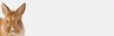 zooplus Rabatt | Extra-Rabatt bis zu 20% im zooplus-Shop