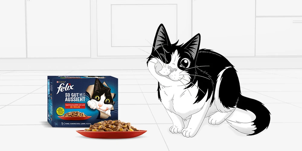 Felix to szeroka gama produktów o różnych smakach i konsystencjach.
