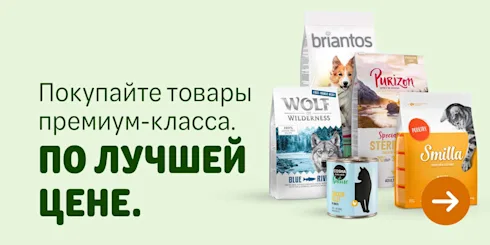 zoochic-eu.ru - лидер №1 по продаже товаров для домашних животных в Европе.