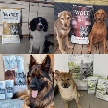 Wolf of Wilderness Grain-Free Dog Food | zooplus
