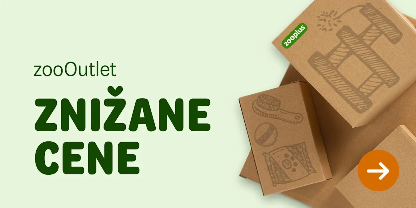 Trgovina za male živali, hrana ter oprema za pse in mačke | zoohit