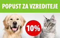 O nas: zoohit se predstavlja | zoohit
