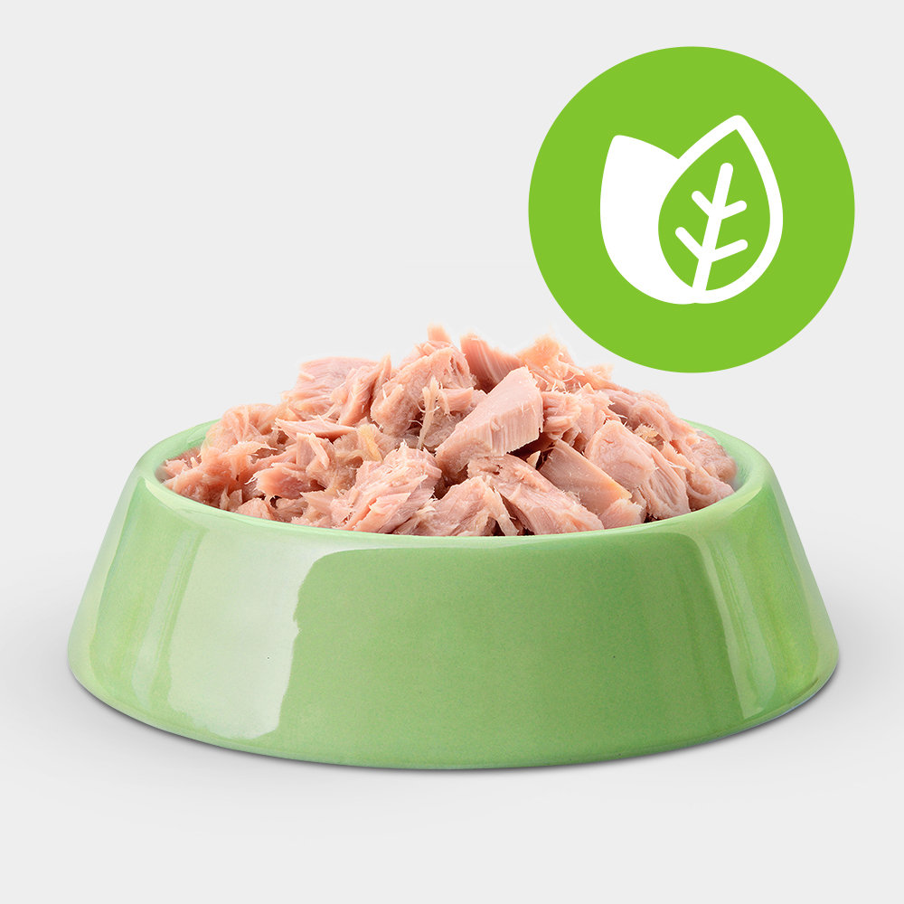 Nassfutter für Hunde online kaufen | zooplus