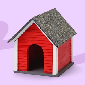 Erstausstattung Hund