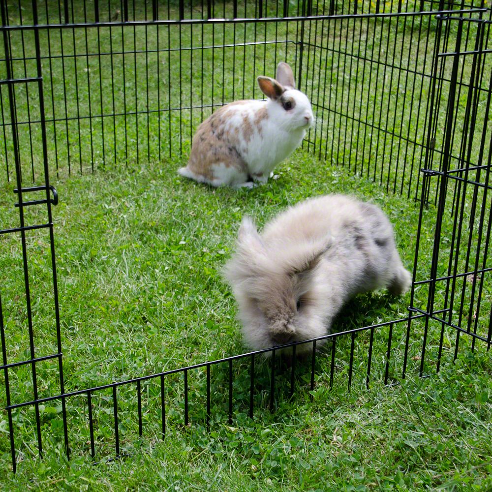 Runs & Enclosures - Rabbit and Small Pet | Buy Now for Less at zooplus