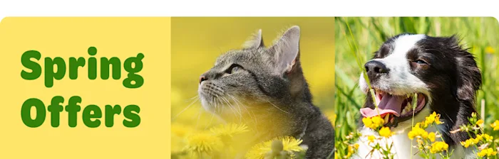 zooplus Offers and Seasonal Promotions