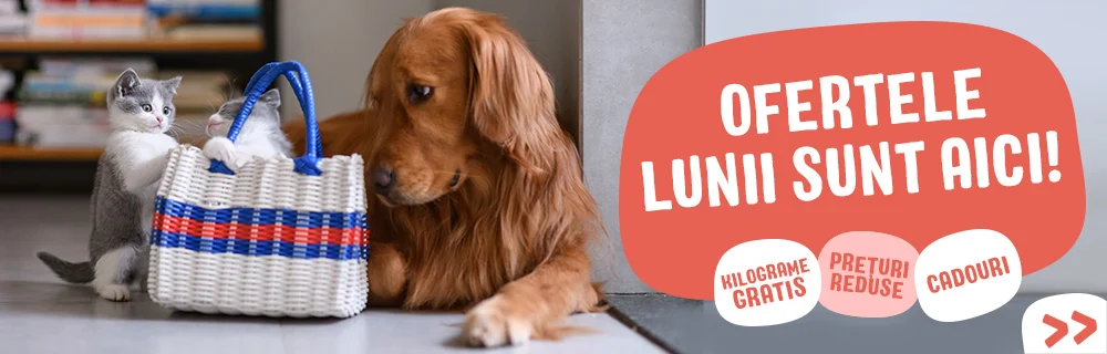 Promoții și Oferte