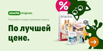 zoochic-eu.ru - лидер №1 по продаже товаров для домашних животных в Европе.