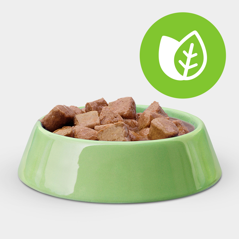 Vådfoder til hunde | Køb hos zooplus.dk