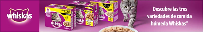 Whiskas comida húmeda para gatos - compra al mejor precio