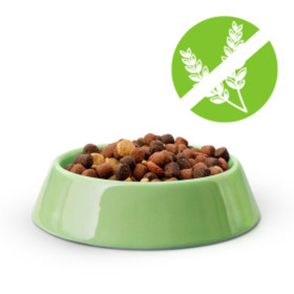 Handla Spannmålsfritt hundfoder online | zooplus.se