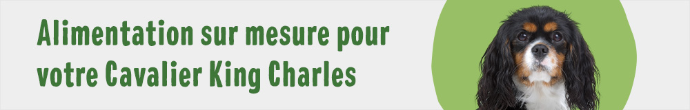 Croquettes pour Cavalier King Charles : Acheter pas cher | zooplus ...