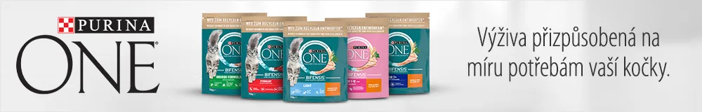 Purina ONE krmivo pro kočky | zoohit