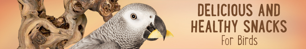 Bird Snacks & Crackers | Buy Now for Less at zooplus