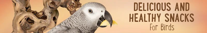 Bird Snacks & Crackers | Buy Now for Less at zooplus