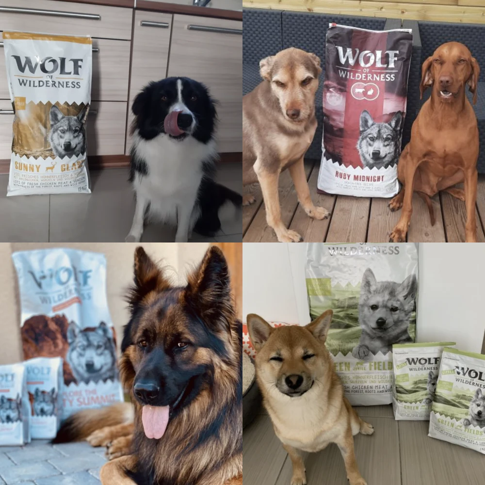 Wolf of Wilderness Grain-Free Dog Food | zooplus