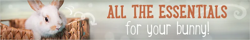 Rabbit Supplies & Rabbit Accessories | Great deals at zooplus!