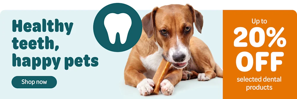 Pet Supplies at zooplus Online Pet Shop, Pet Food & Pet Accessories.