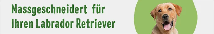 Labrador Retriever günstig bei zooplus.ch