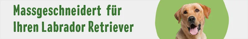 Labrador Retriever günstig bei zooplus.ch