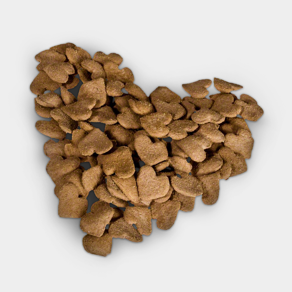 Katzensnacks & Katzen Leckerli günstig kaufen | zooplus