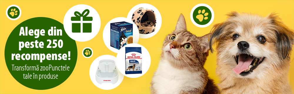 Campanii actuale zooplus
