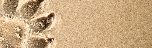 Deal days hos zooplus