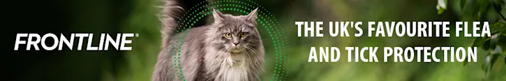 FRONTLINE® Cat Flea Treatments | Available at zooplus!