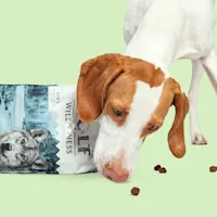 Top Deals | zooplus UK