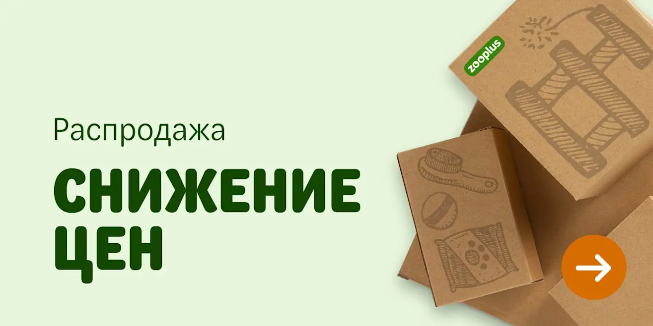 zoochic-eu.ru - лидер №1 по продаже товаров для домашних животных в Европе.