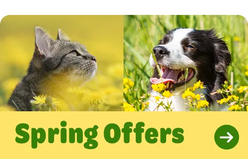 zooplus Offers and Seasonal Promotions