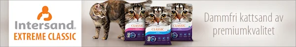 Handla Intersand Classic kattsand online | zooplus.se