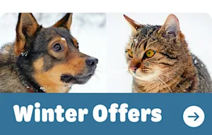 zooplus Offers and Seasonal Promotions