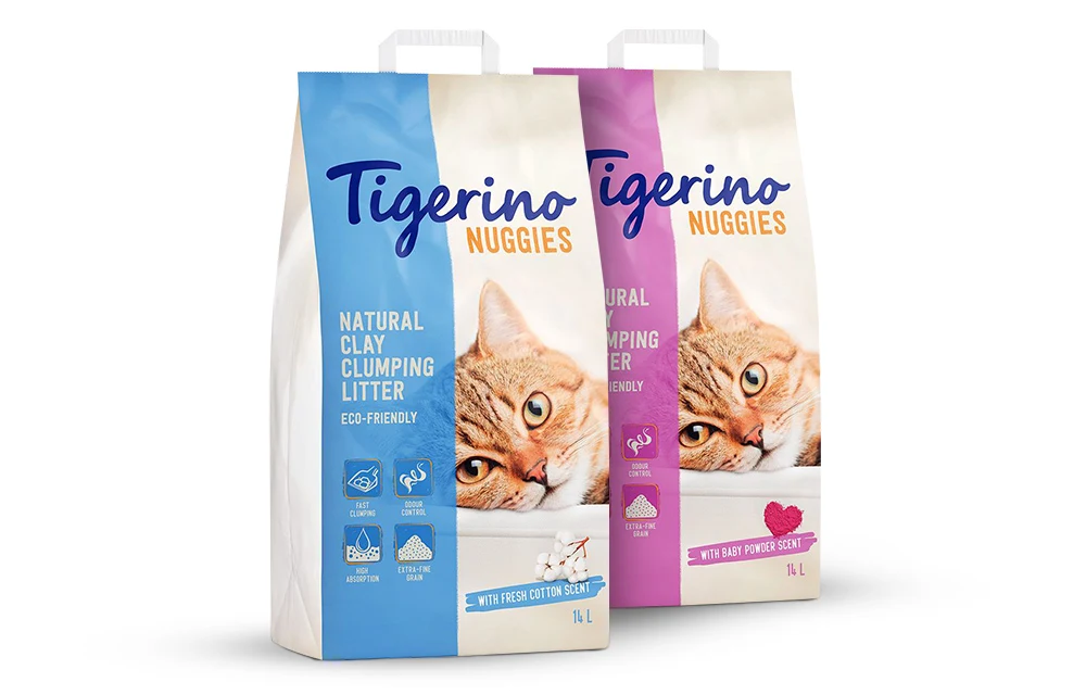 ¿Cuál es la mejor arena para gatos? | Zooplus