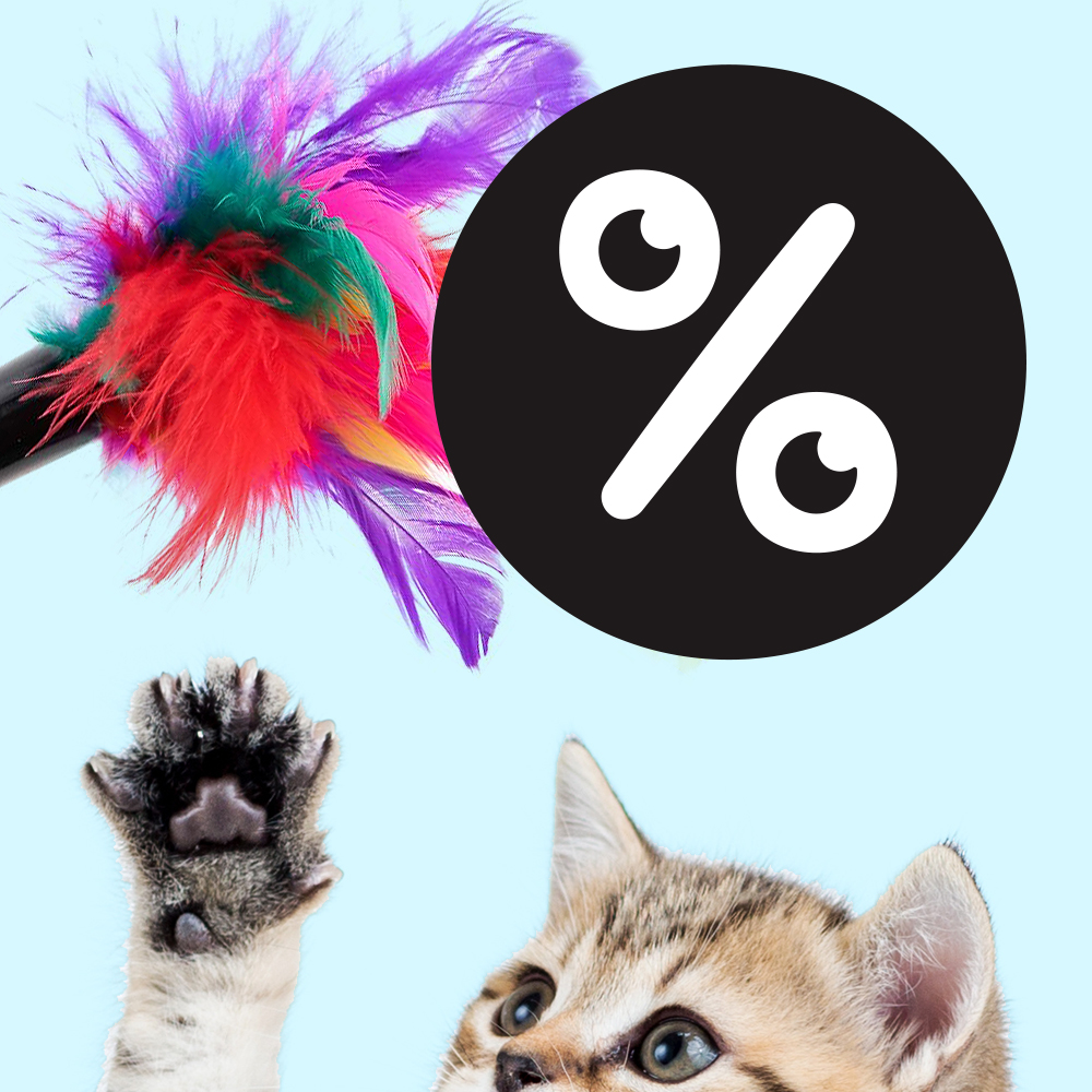 Cat Shop: Cat Supplies & Cat Accessories | Buy Now for Less at zooplus