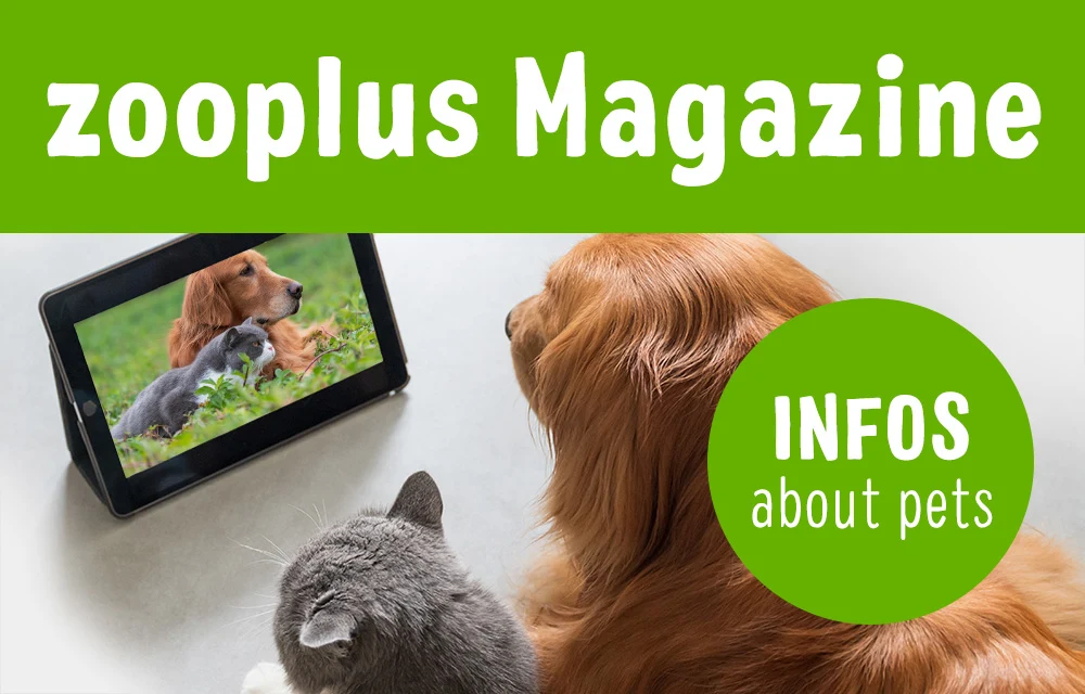 zooplus Benefits and Discounts | zooplus.co.uk