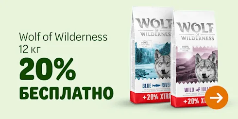 zoochic-eu.ru - лидер №1 по продаже товаров для домашних животных в Европе.