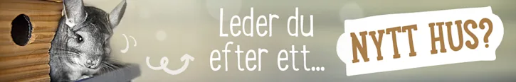 Handla Chinchilla bur online | zooplus.se