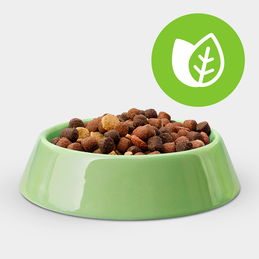 Hundefutter trocken jetzt günstig kaufen | zooplus.at