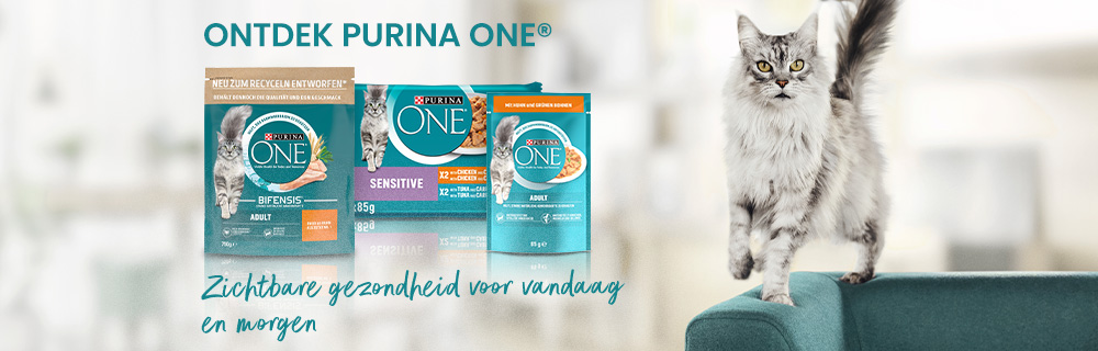 Logo Von Purina One Beyond Beyond Home Purina Beyond Logo PNG