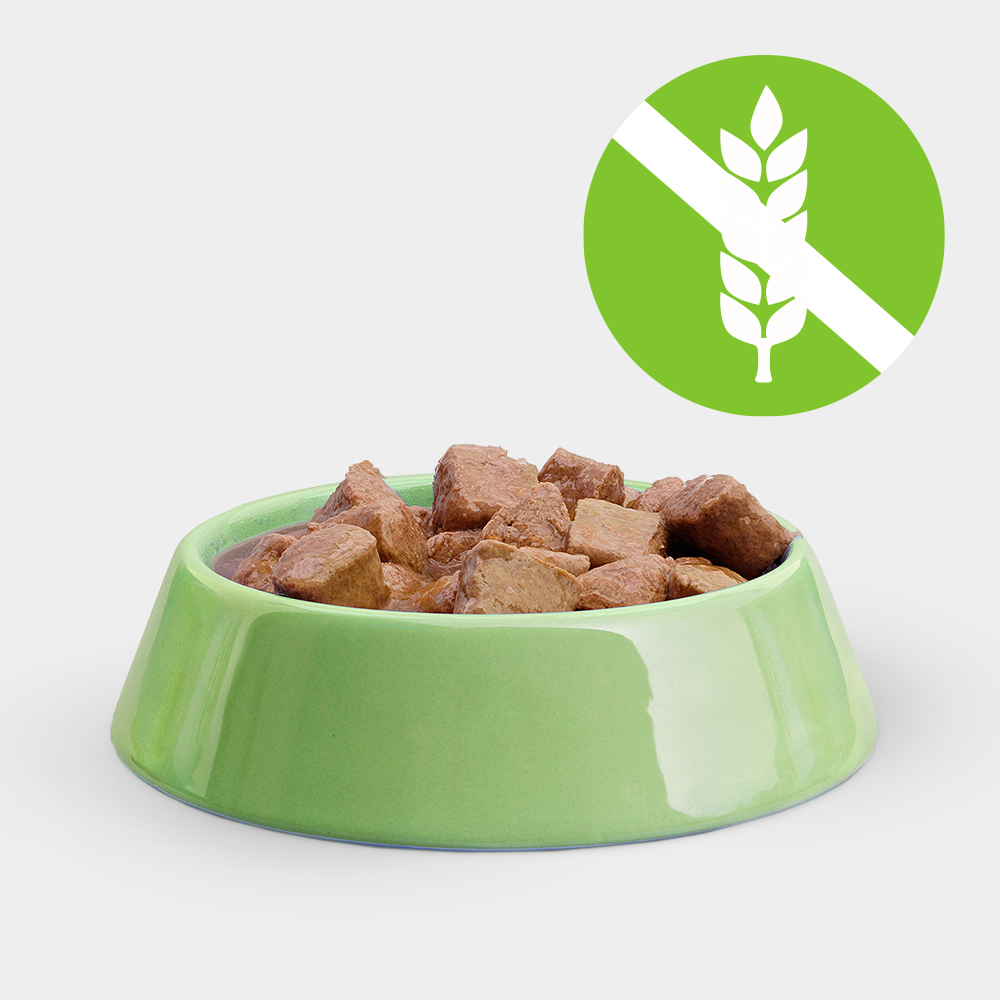 Nassfutter für Hunde online kaufen | zooplus