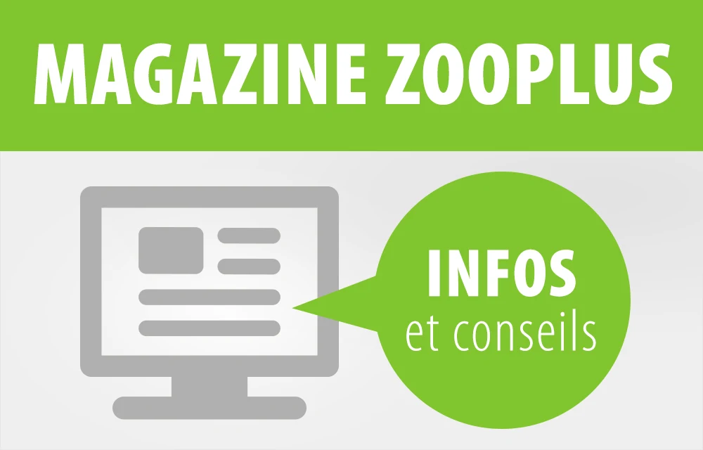 Codes promo et bons de réduction zooplus - zooplus