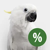 zooplus Offers and Seasonal Promotions